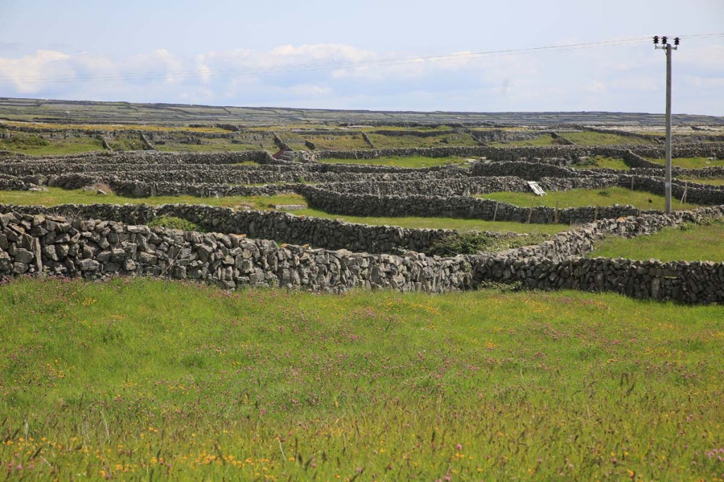 The Stone Walls of Aran. A Triumph of Adaptability. | Singersong Blog