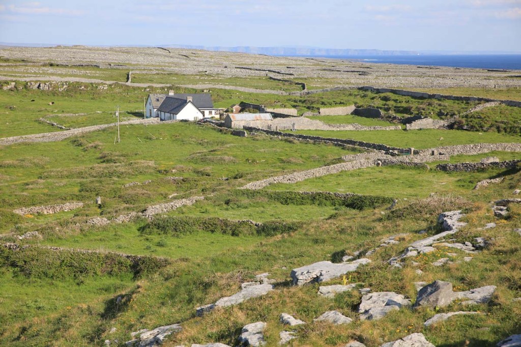 The Stone Walls of Aran. A Triumph of Adaptability. | Singersong Blog