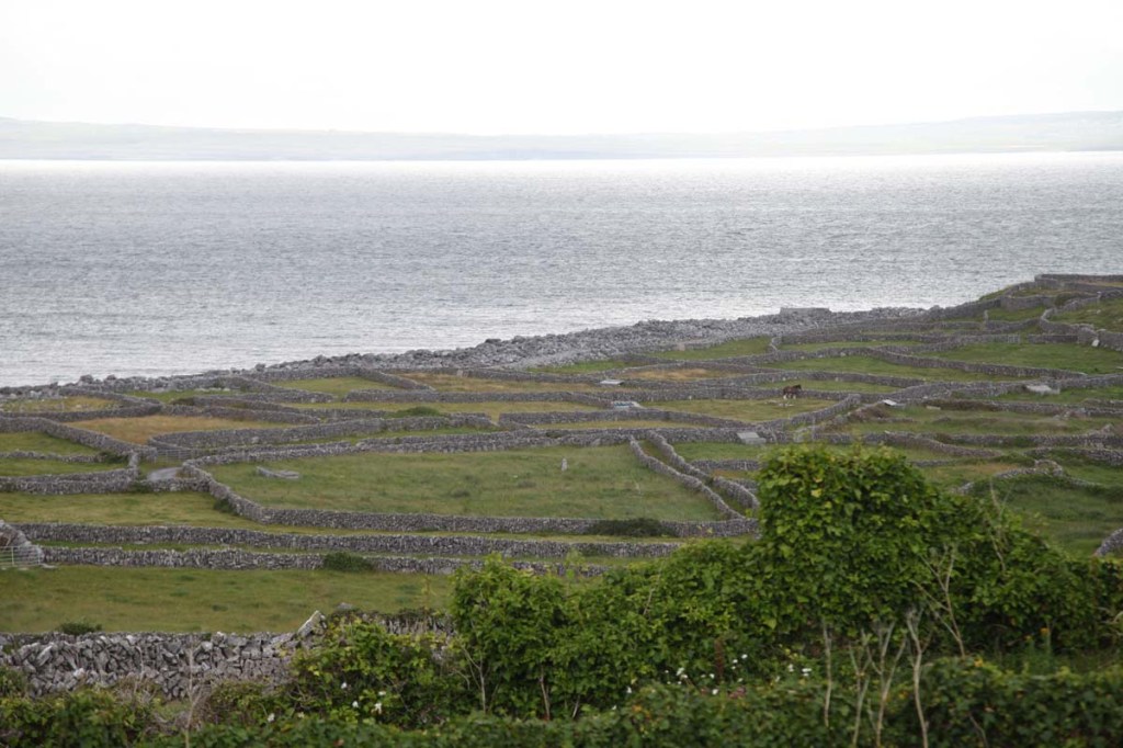 The Stone Walls of Aran. A Triumph of Adaptability. | Singersong Blog